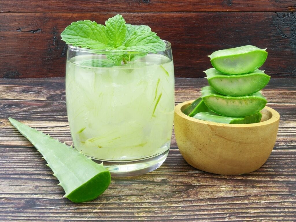 Pode comer babosa? Como preparar, benefícios e cuidados - Mundo Brasil